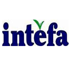 Intefa - Jagojobs