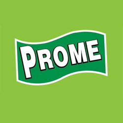 Management Trainee (Internal Audit)